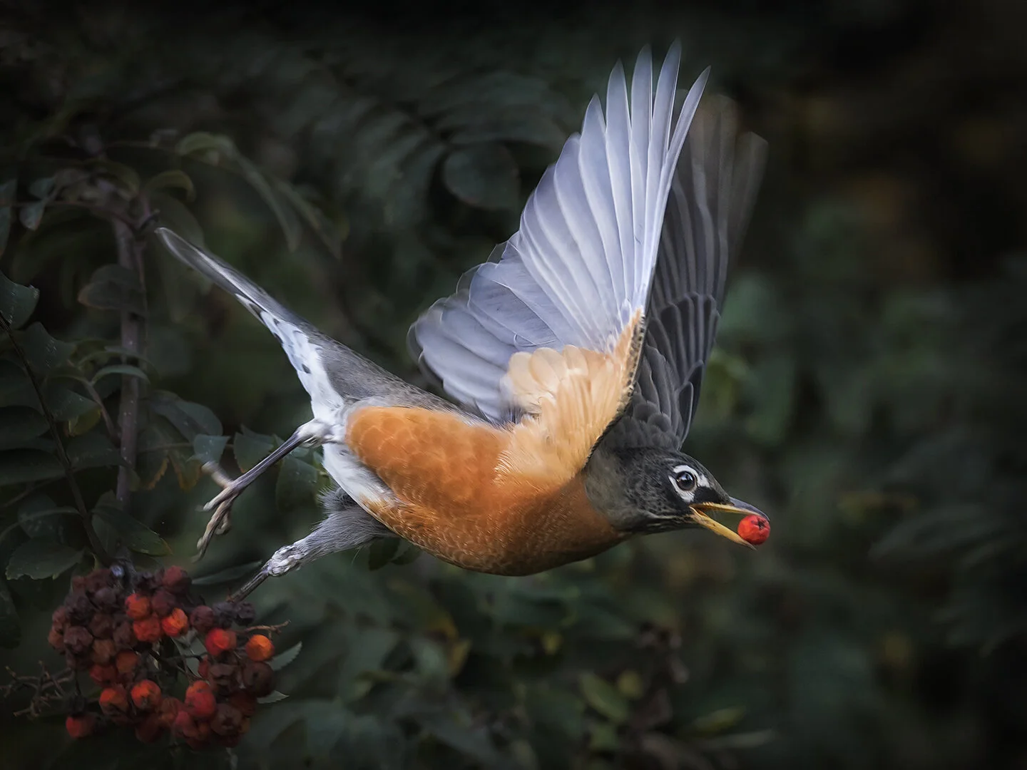 Nov 2016 — Rainier Hills Photography Club