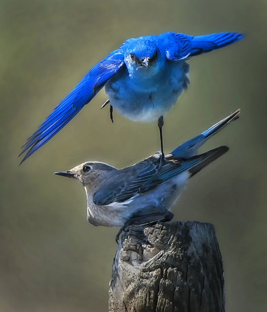 Apr 2016 — Rainier Hills Photography Club