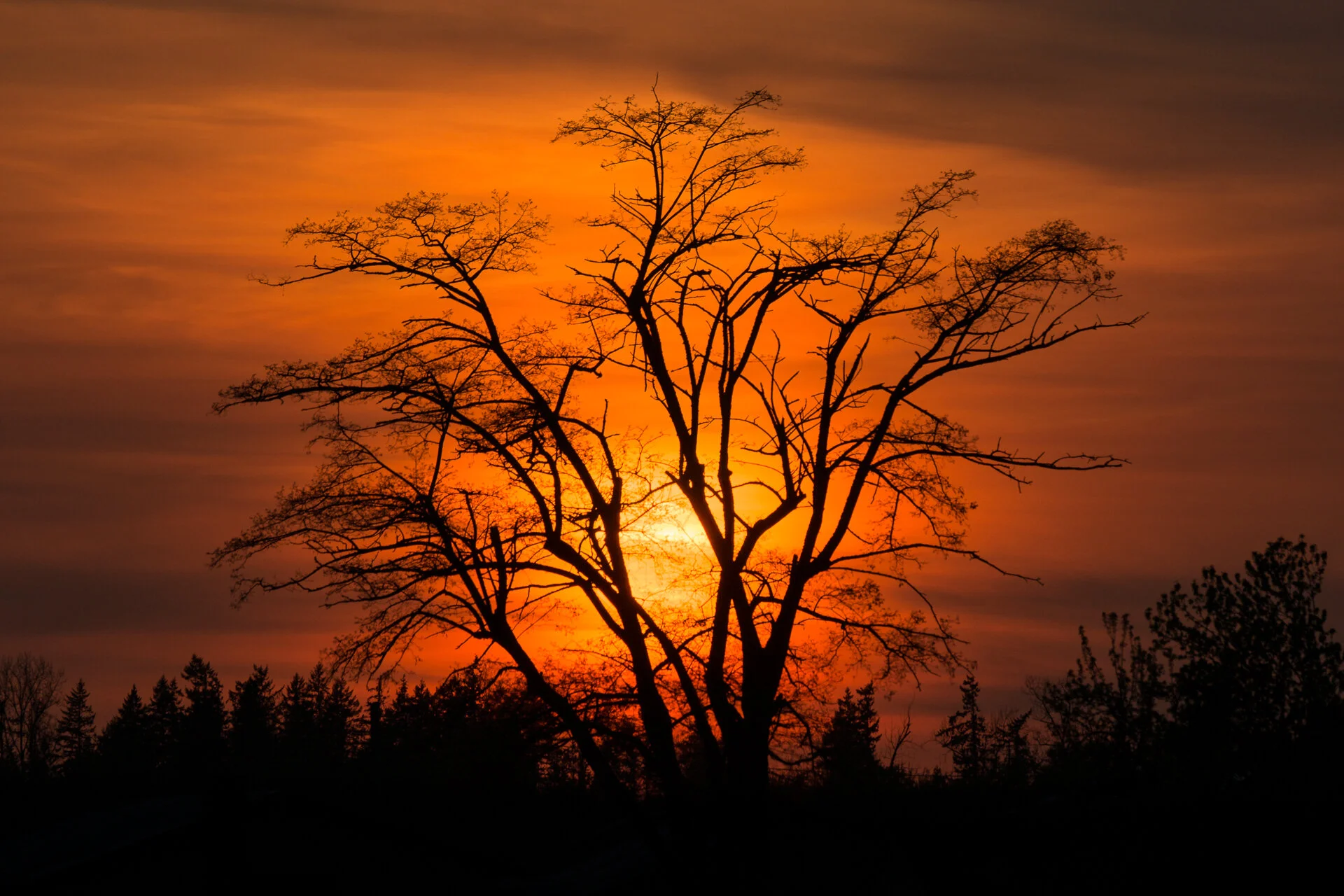 Apr 2015 — Rainier Hills Photography Club
