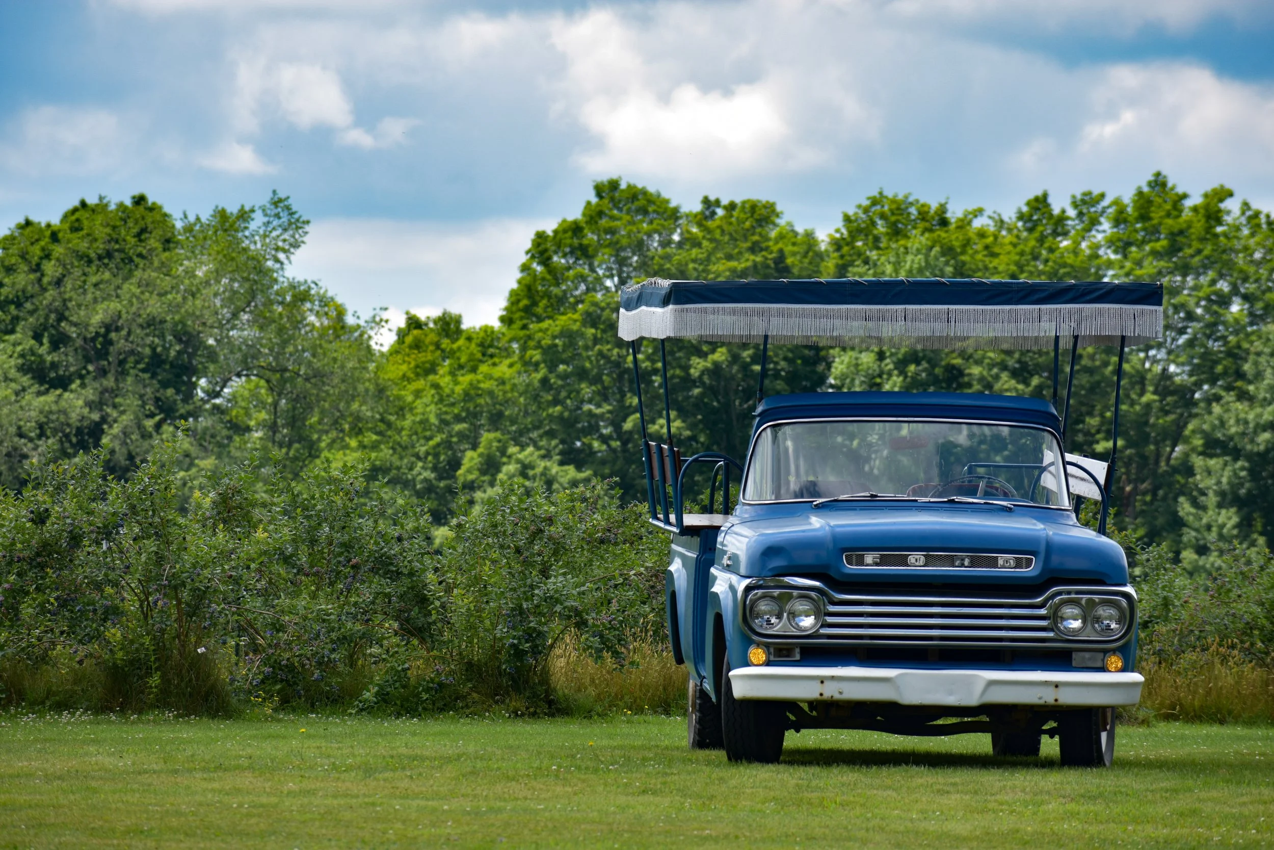 MEET AMY & BETH — BURDICK BLUEBERRIES