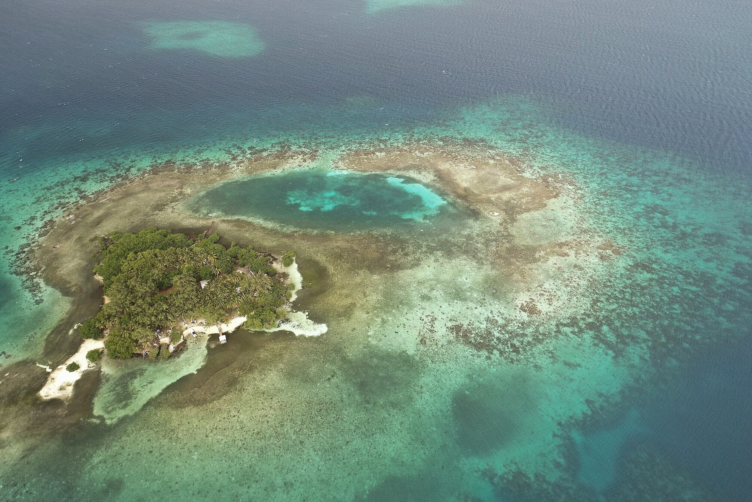 Open Reef — Citizen Science GIS