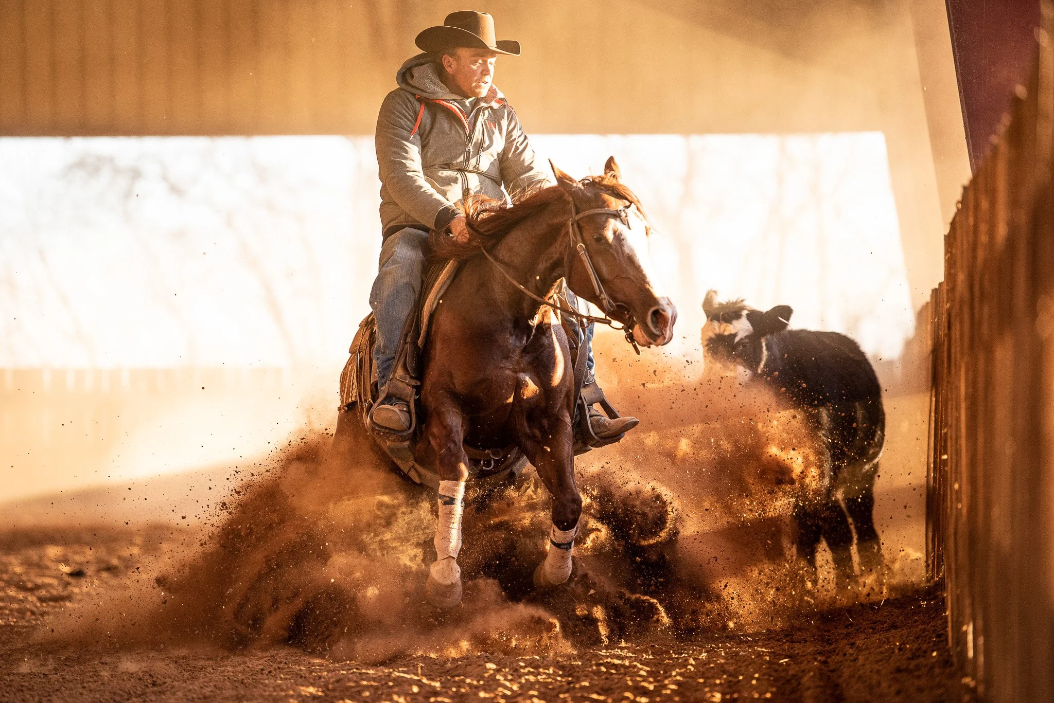 Western Horse Photography