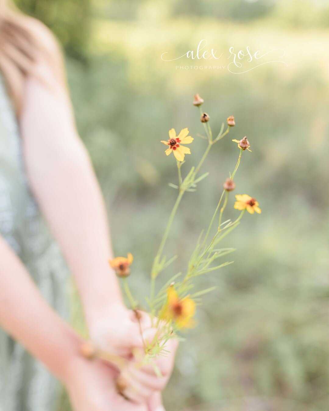 Alex Rose Photography