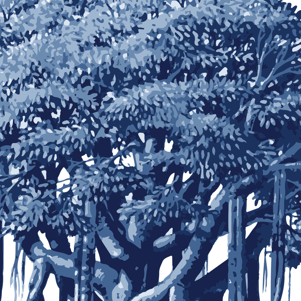 Banyan Tree Construction, LLC