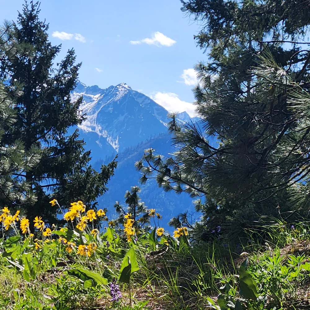 Things to do in Cashmere — Cashmere Chamber of Commerce