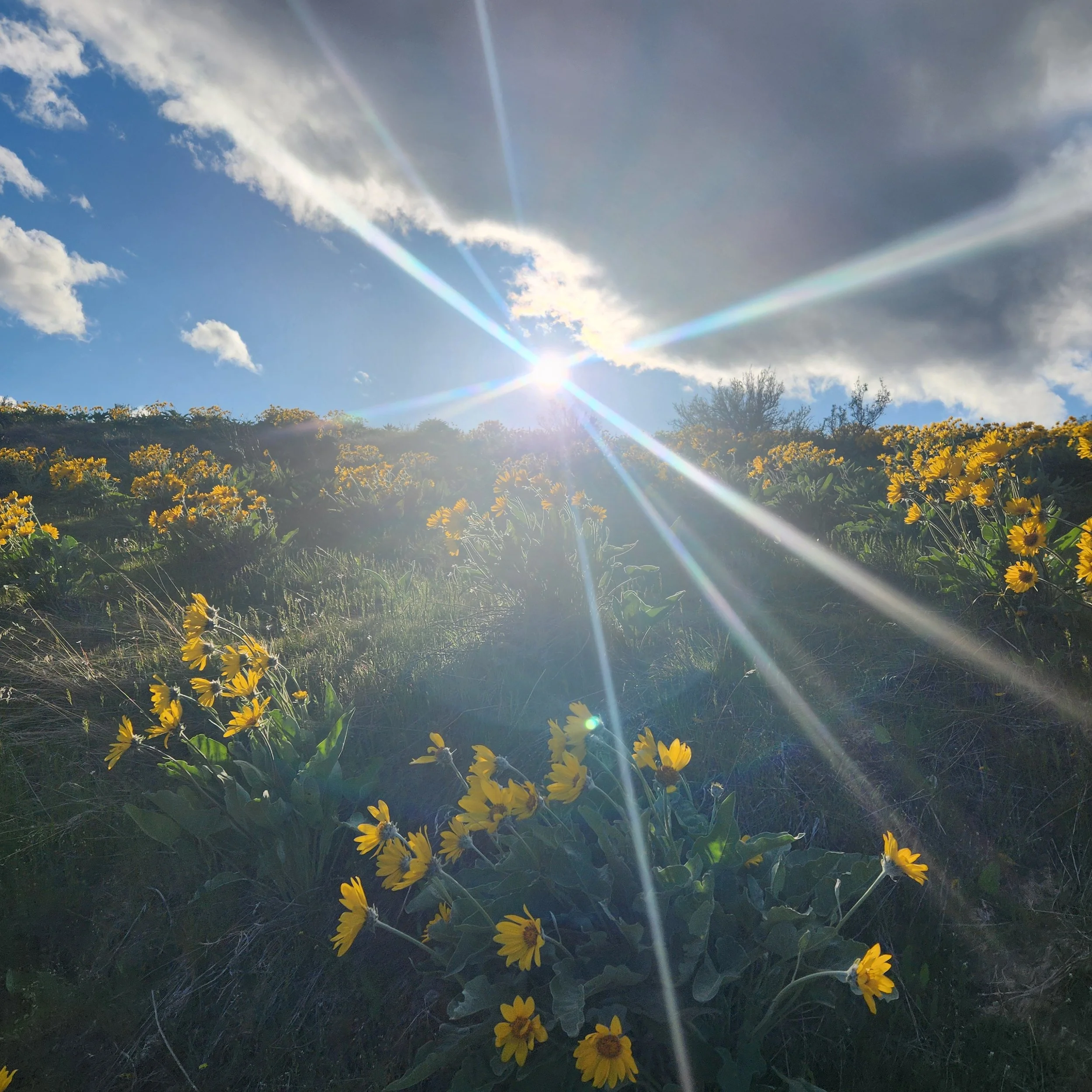 Things to do in Cashmere — Cashmere Chamber of Commerce
