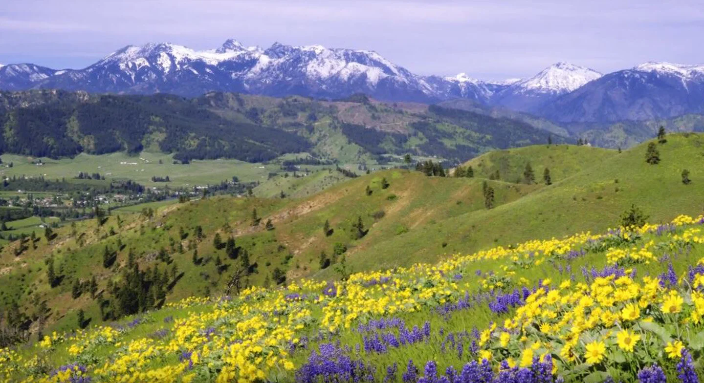 Things to do in Cashmere — Cashmere Chamber of Commerce