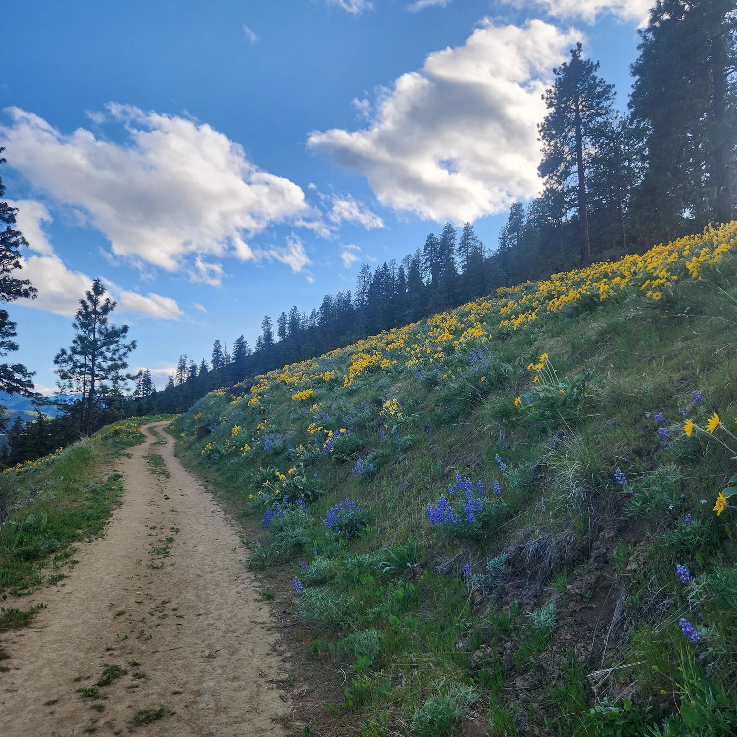 Things to do in Cashmere — Cashmere Chamber of Commerce