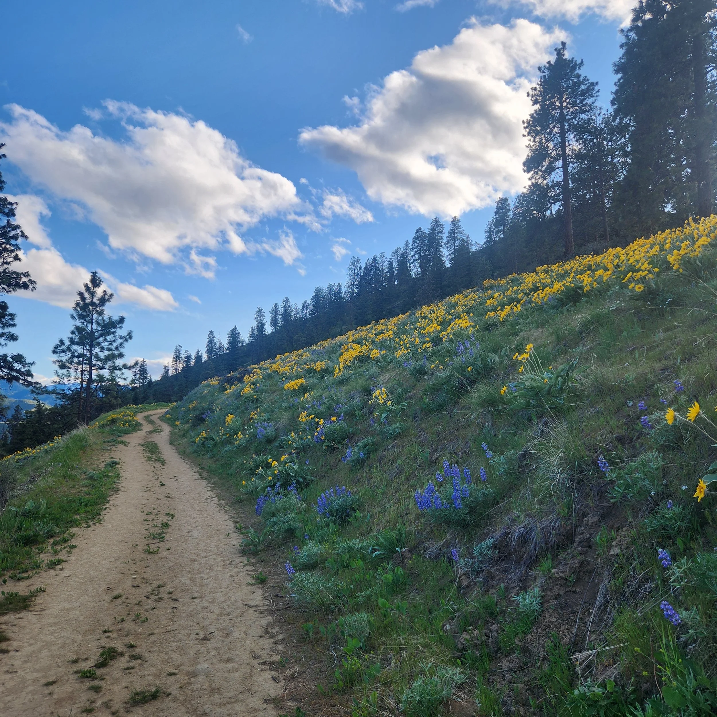 Things to do in Cashmere — Cashmere Chamber of Commerce