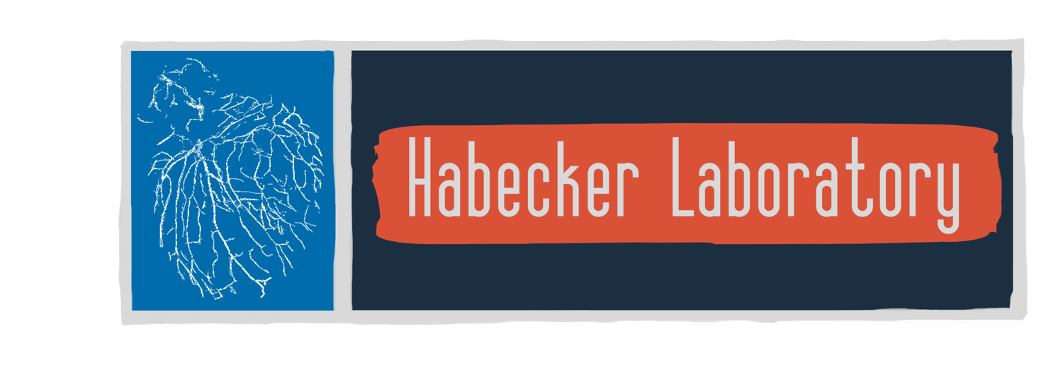 Habecker Lab OHSU