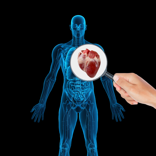 LDL-P Explained: Why Particle Number Matters for Heart Health ...