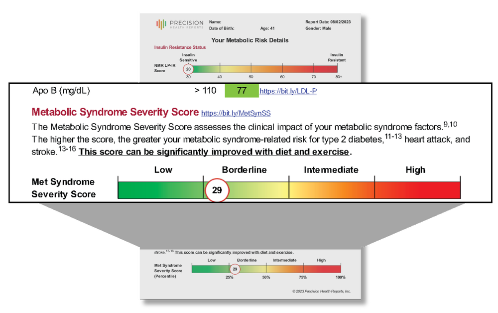 Metabolic Syndrome and the Metabolic Syndrome Severity Score: A ...