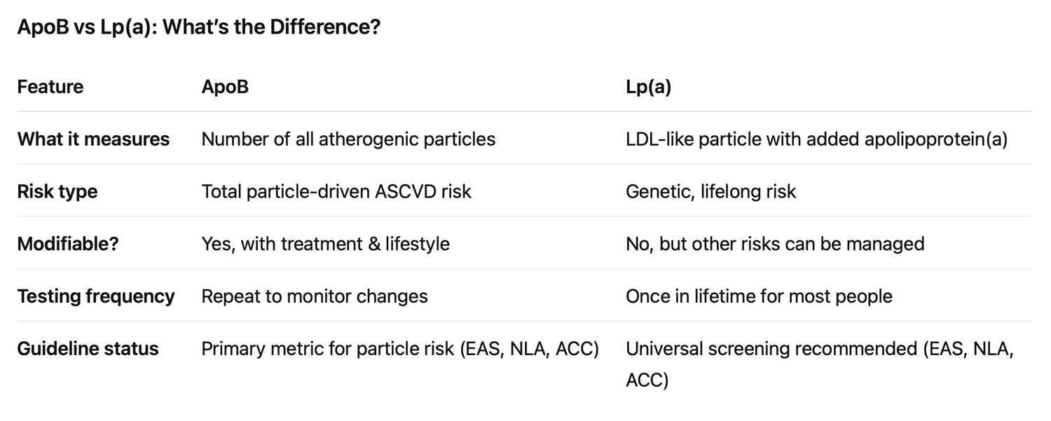 ApoB & Lipoprotein(a) Testing | See Risks Cholesterol Misses ...