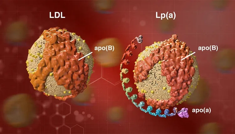 Lp(a) Blood Test: Order Online & Get Results in Days for just $24 ...
