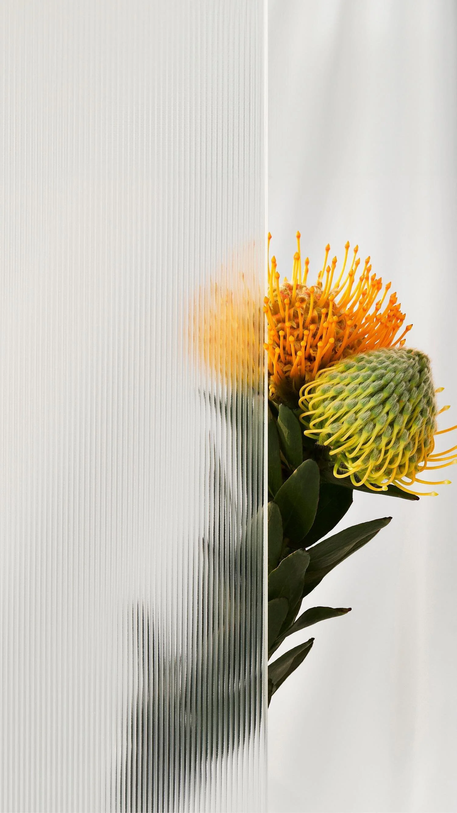 Contact Us — Nexus Designs – Multidisciplinary Design Studio