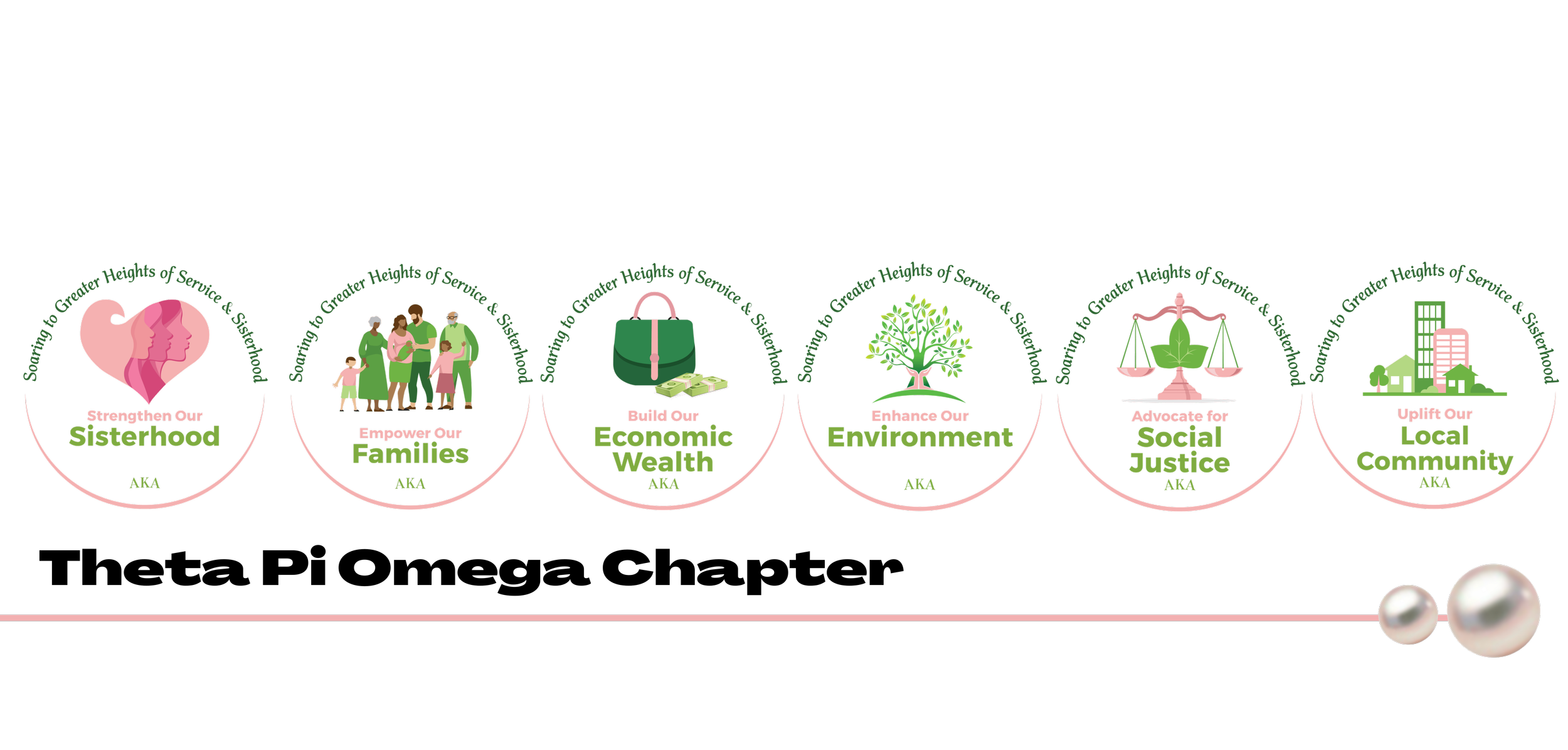 Program Initiatives — Theta Pi Omega Chapter