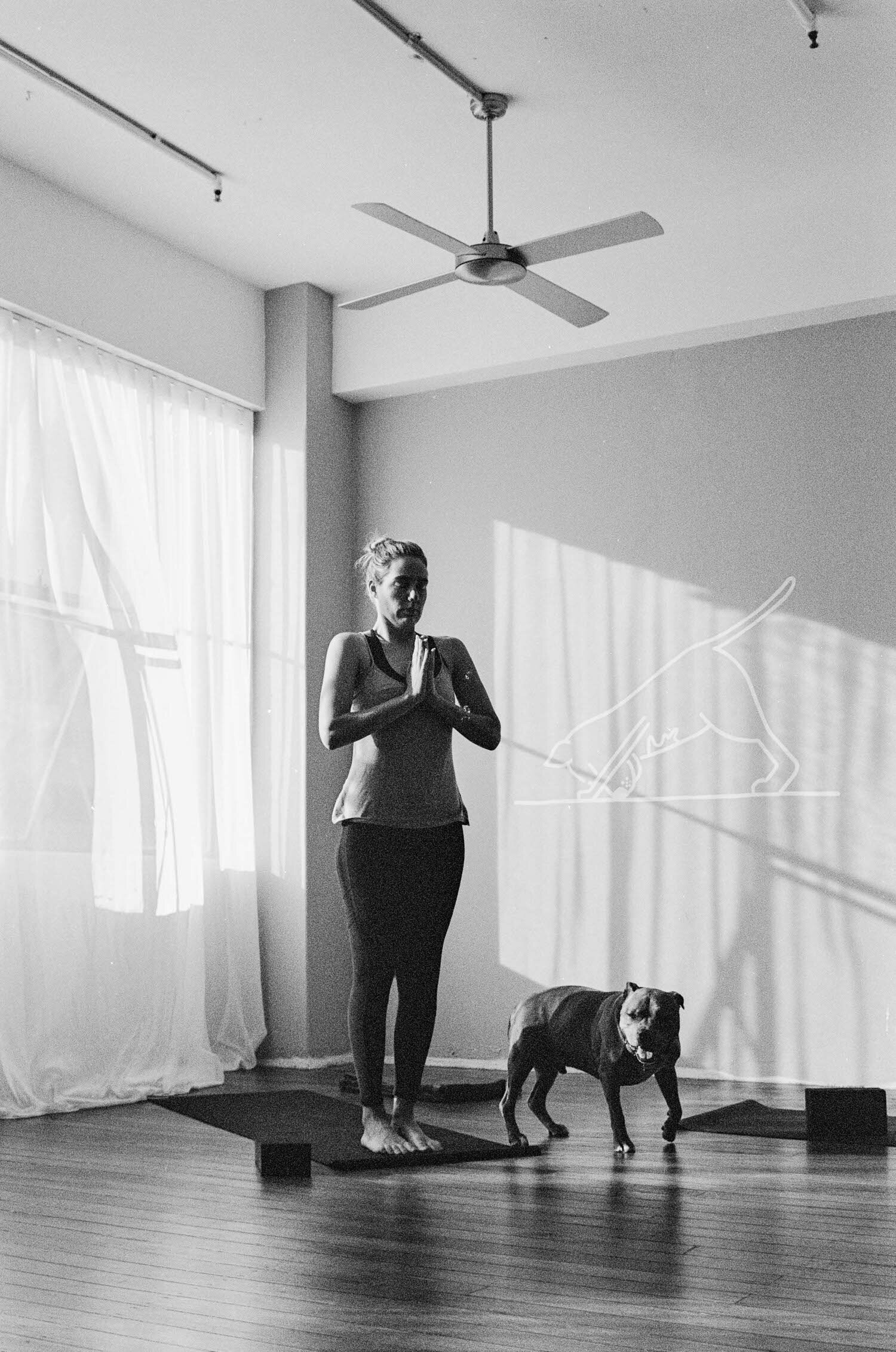 THE YOGA FACTORY