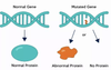LandOn A Cure - TBCD Rare Genetic research & treatment funding