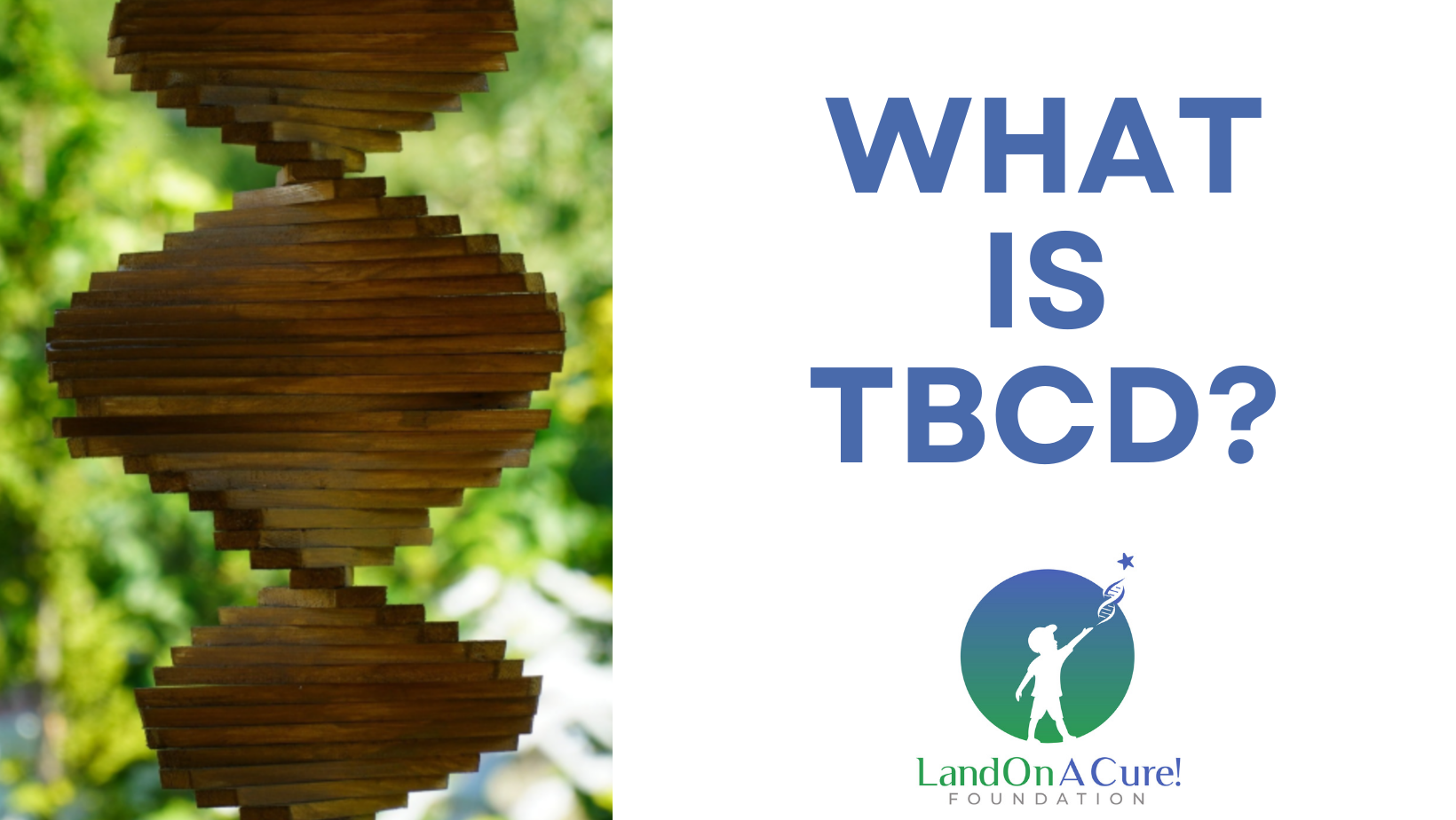 LandOn A Cure - TBCD Rare Genetic research & treatment funding