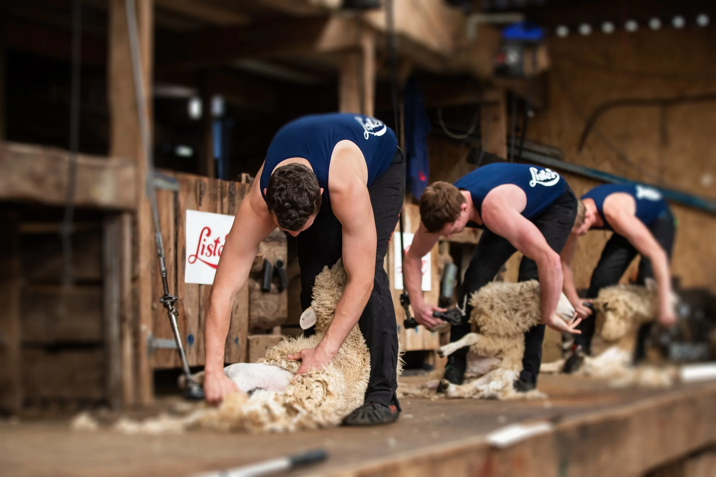 Lister Shearing Equipment