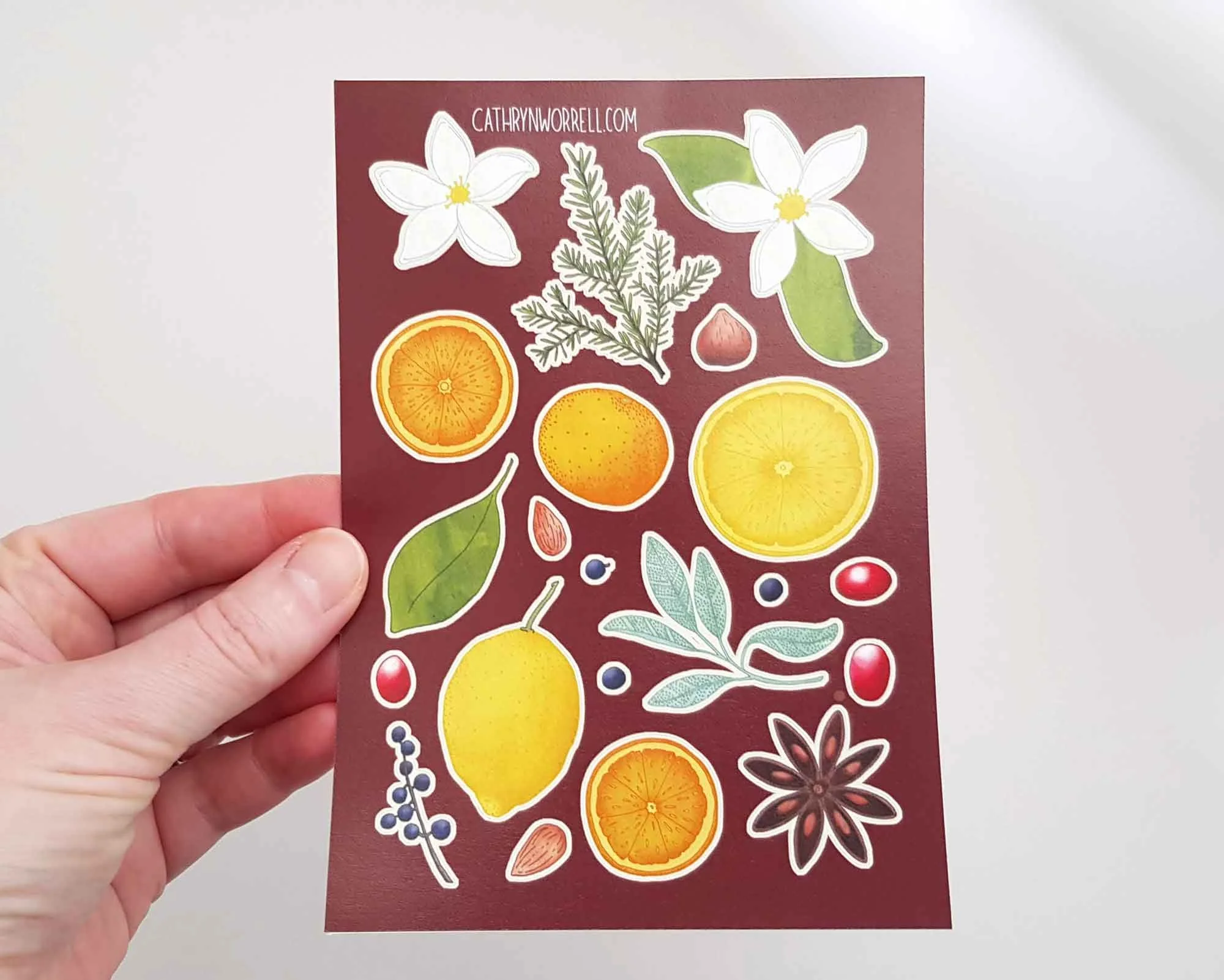 Cathryn Worrell Art & Illustration