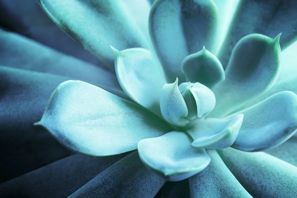 Epäiletkö muistisairautta? | Muistitesti | Amia Muistikeskus