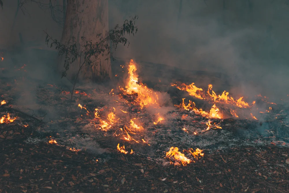 Bushfire awareness workshops for residents — Cr Ryan Murphy
