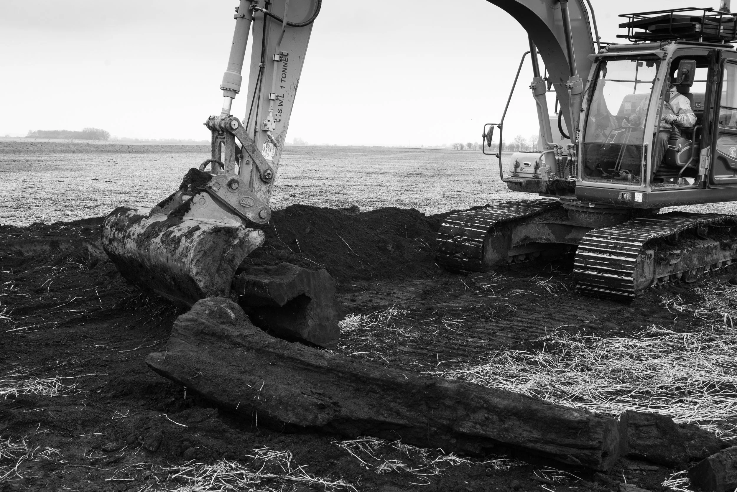 The Magic of Materials: Buried Bog Oak — Silverlining