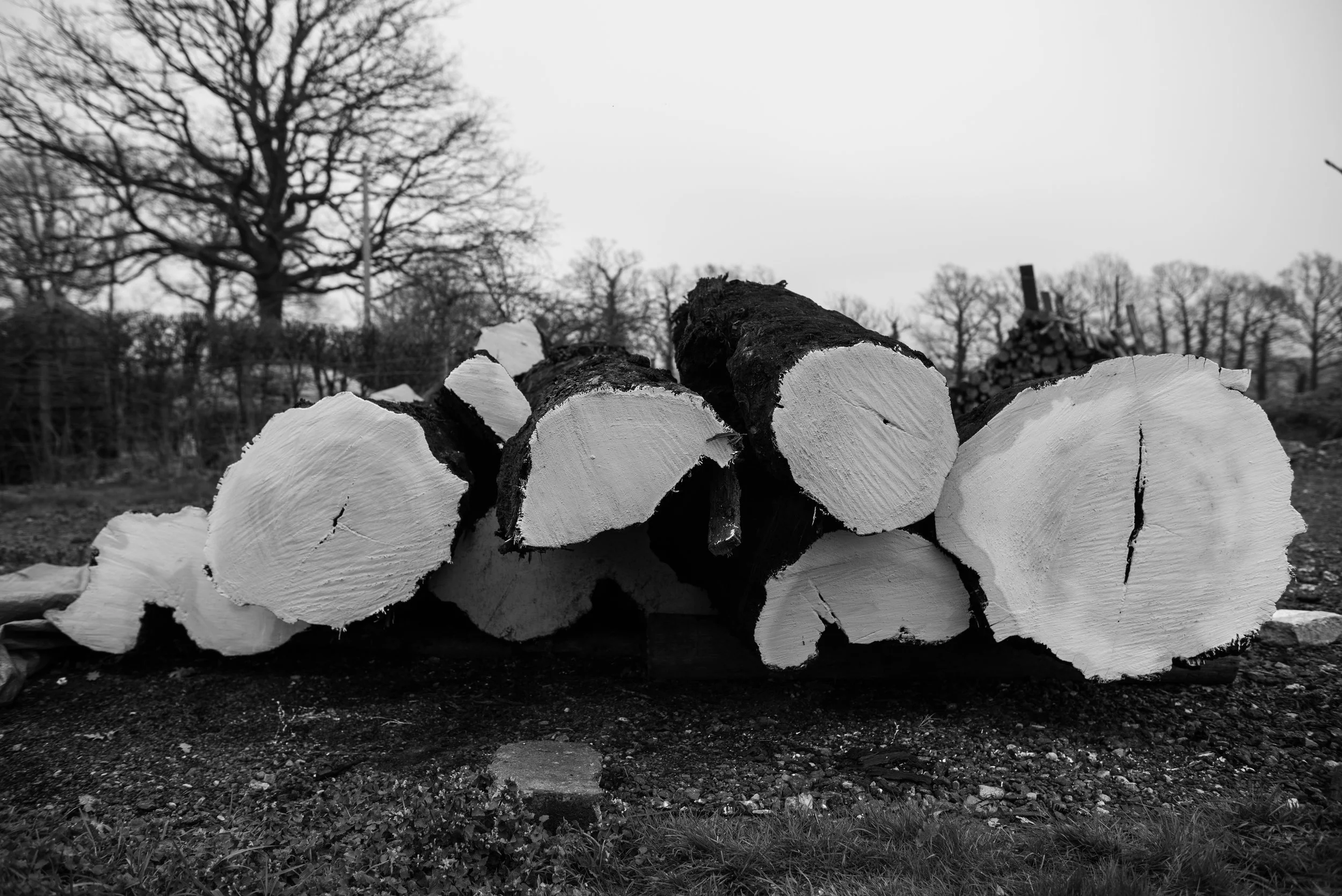 The Magic of Materials: Buried Bog Oak — Silverlining