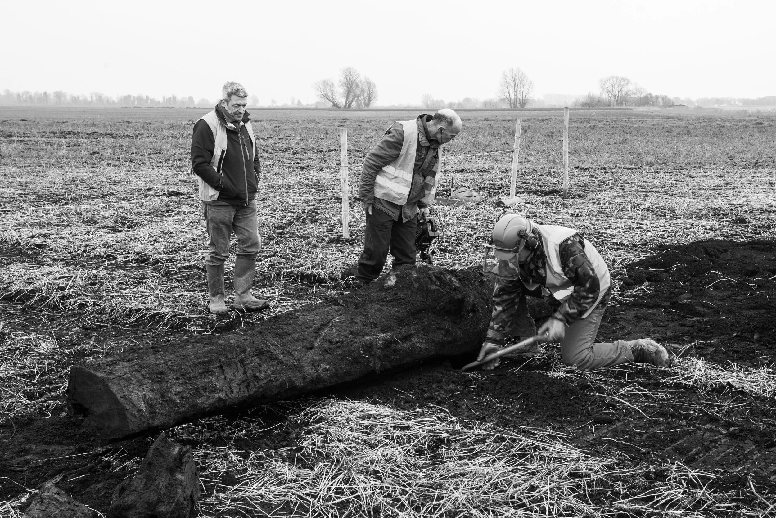 The Magic of Materials: Buried Bog Oak — Silverlining