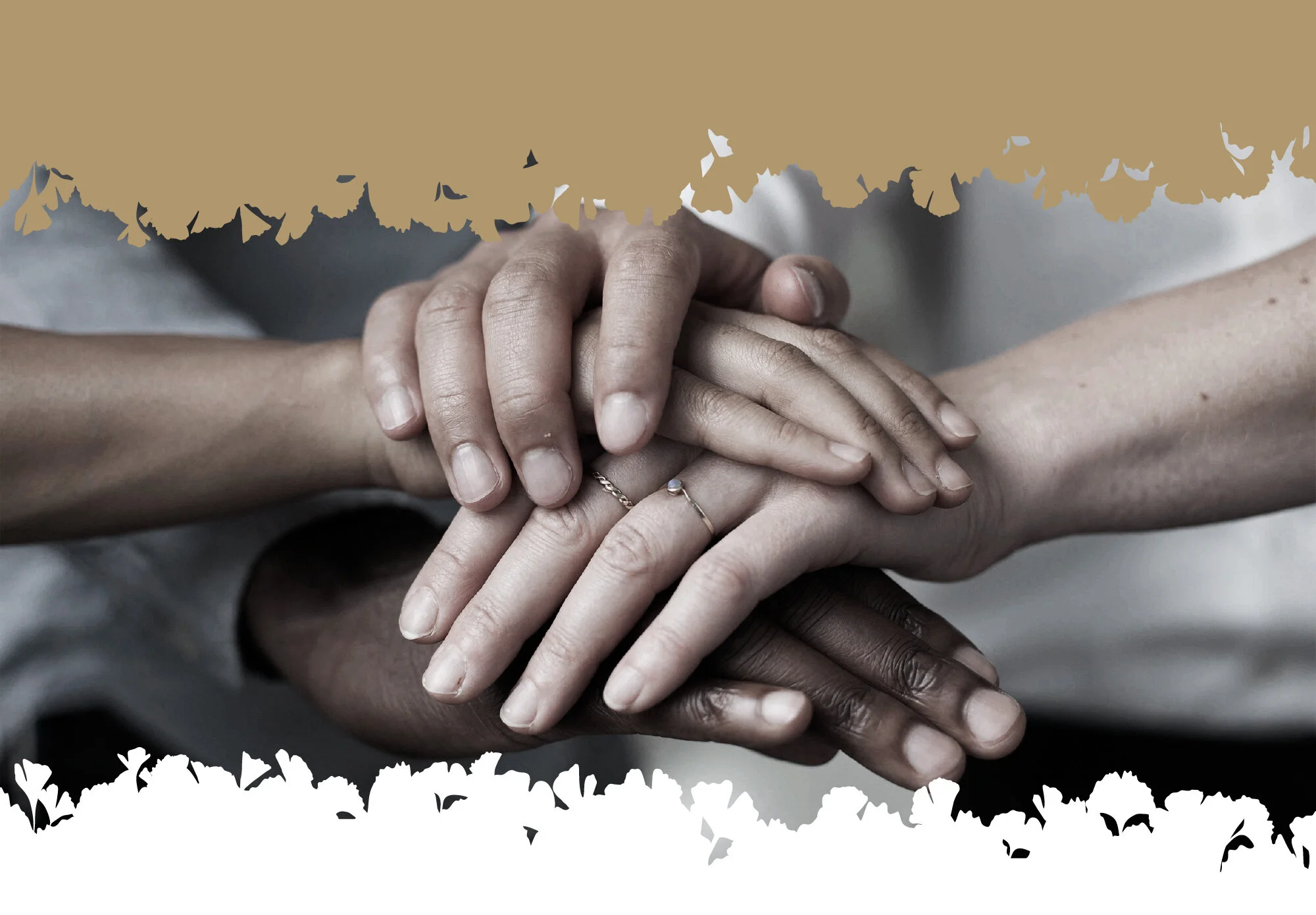 Employee Retention Solutions – Gingko People