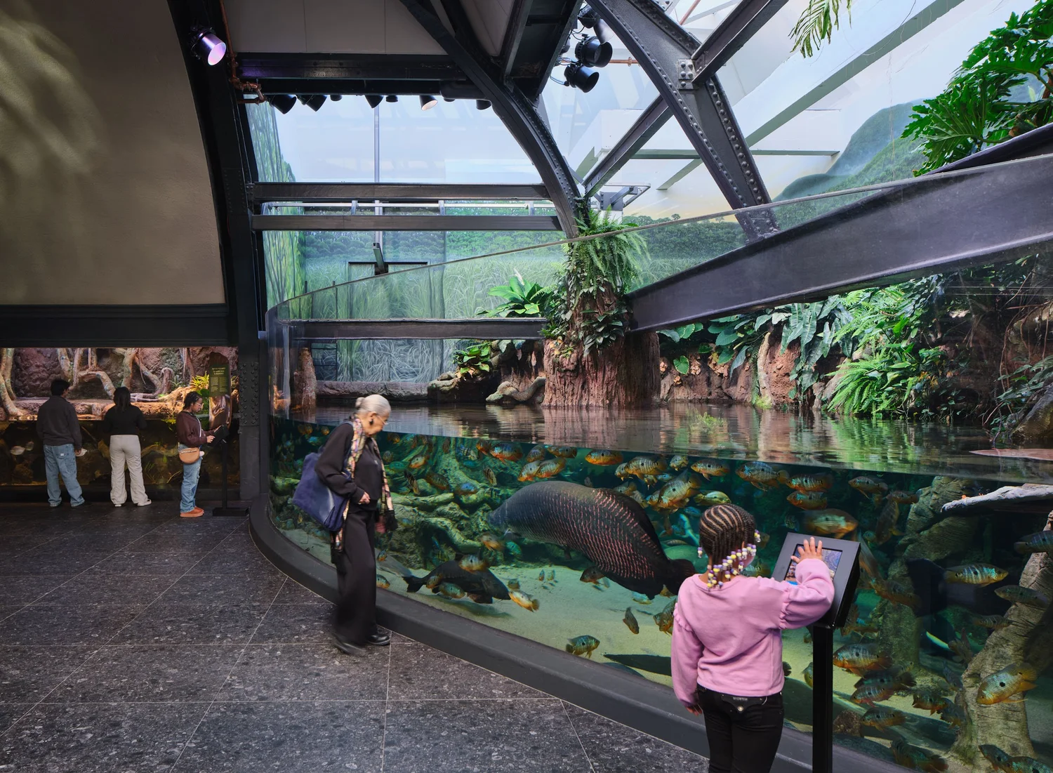 Shedd Aquarium's $500 Million ‘Centennial Commitment’ Renovation ...