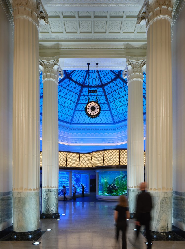Shedd Aquarium's $500 Million ‘Centennial Commitment’ Renovation ...