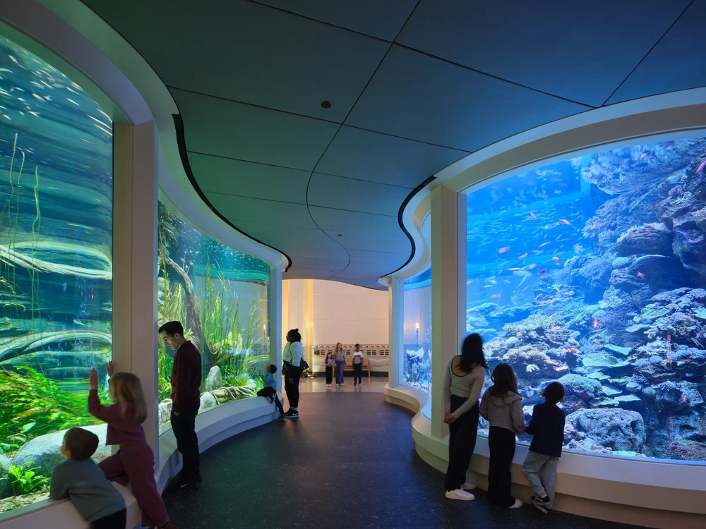 Shedd Aquarium's $500 Million ‘Centennial Commitment’ Renovation ...