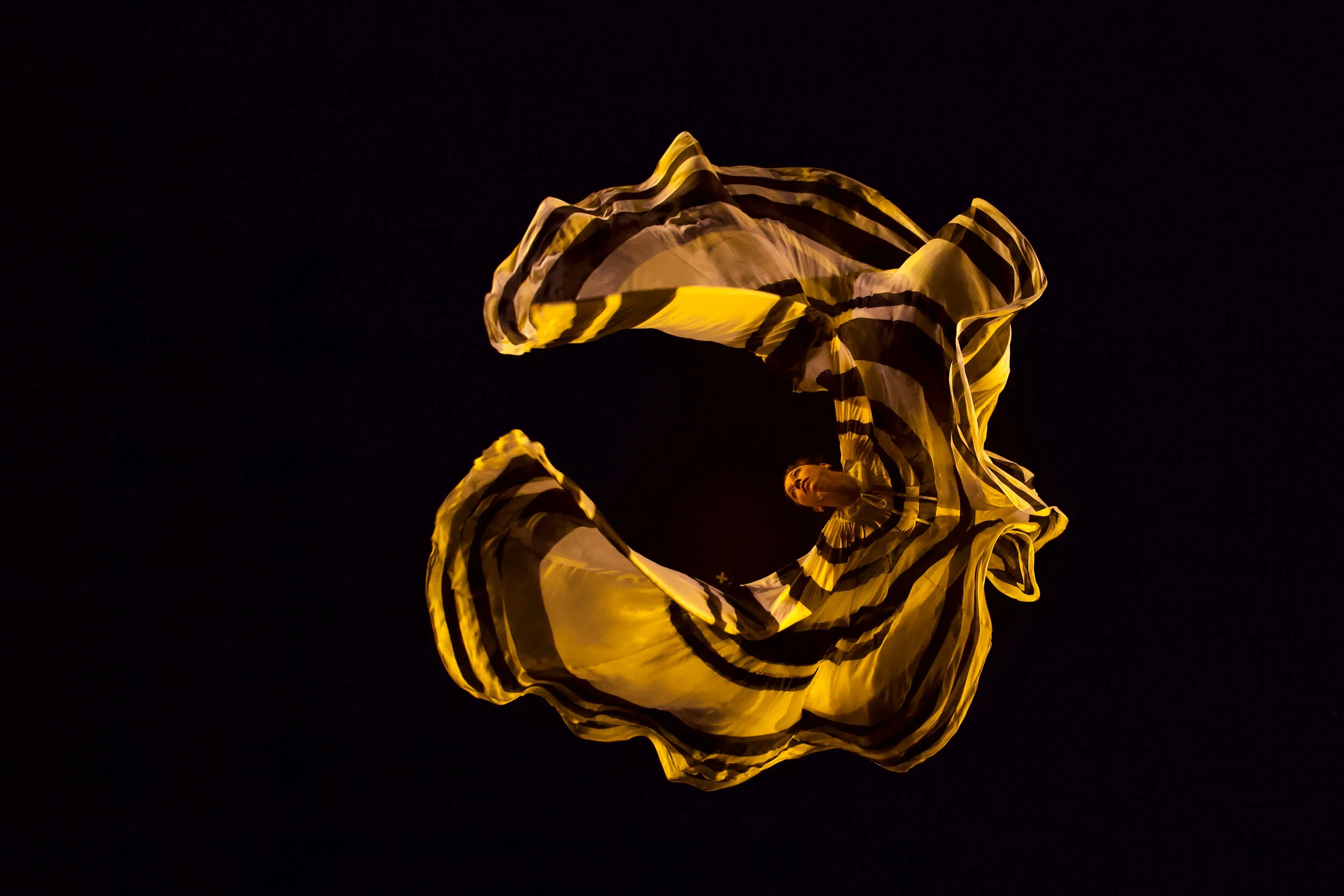 Press — Jody Sperling/Time Lapse Dance