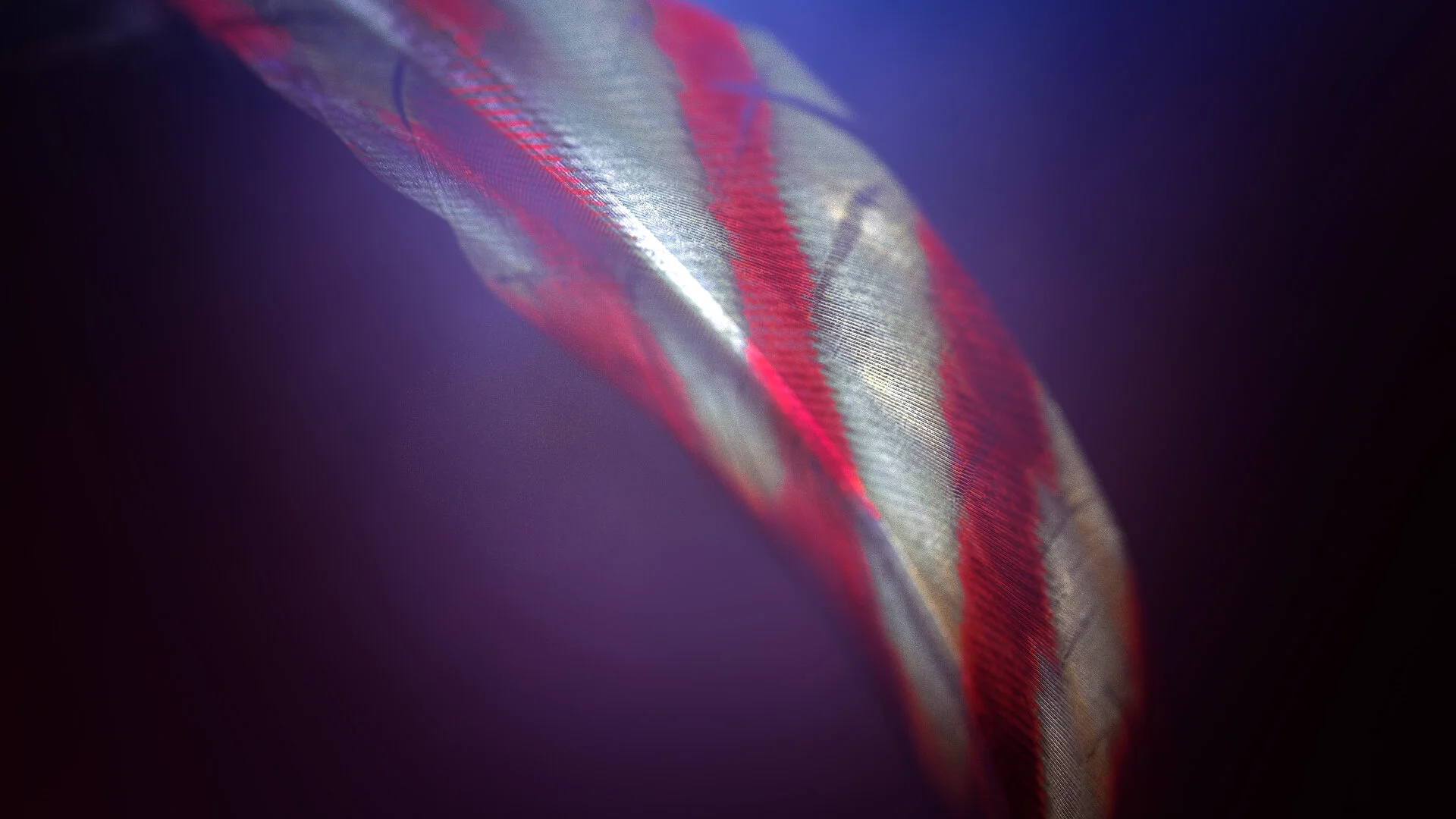 Wacom Plume — Twistedpoly