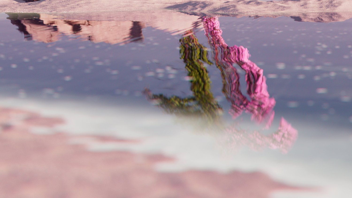 Showreel 2021 — Twistedpoly