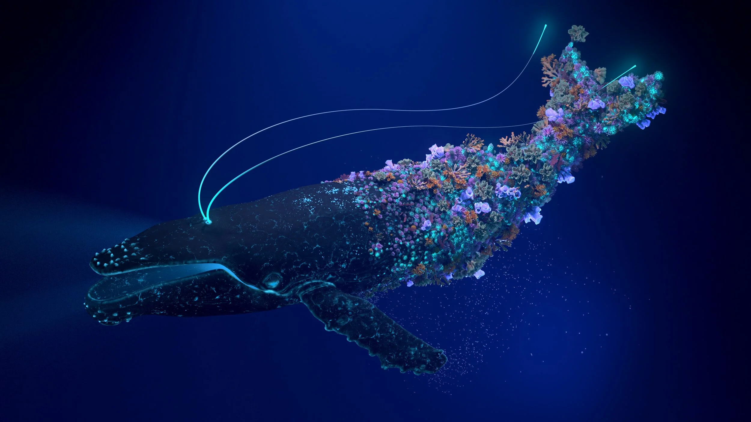 Konica Minolta — Twistedpoly