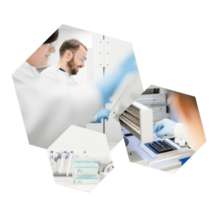 APIS Assay Technologies Ltd
