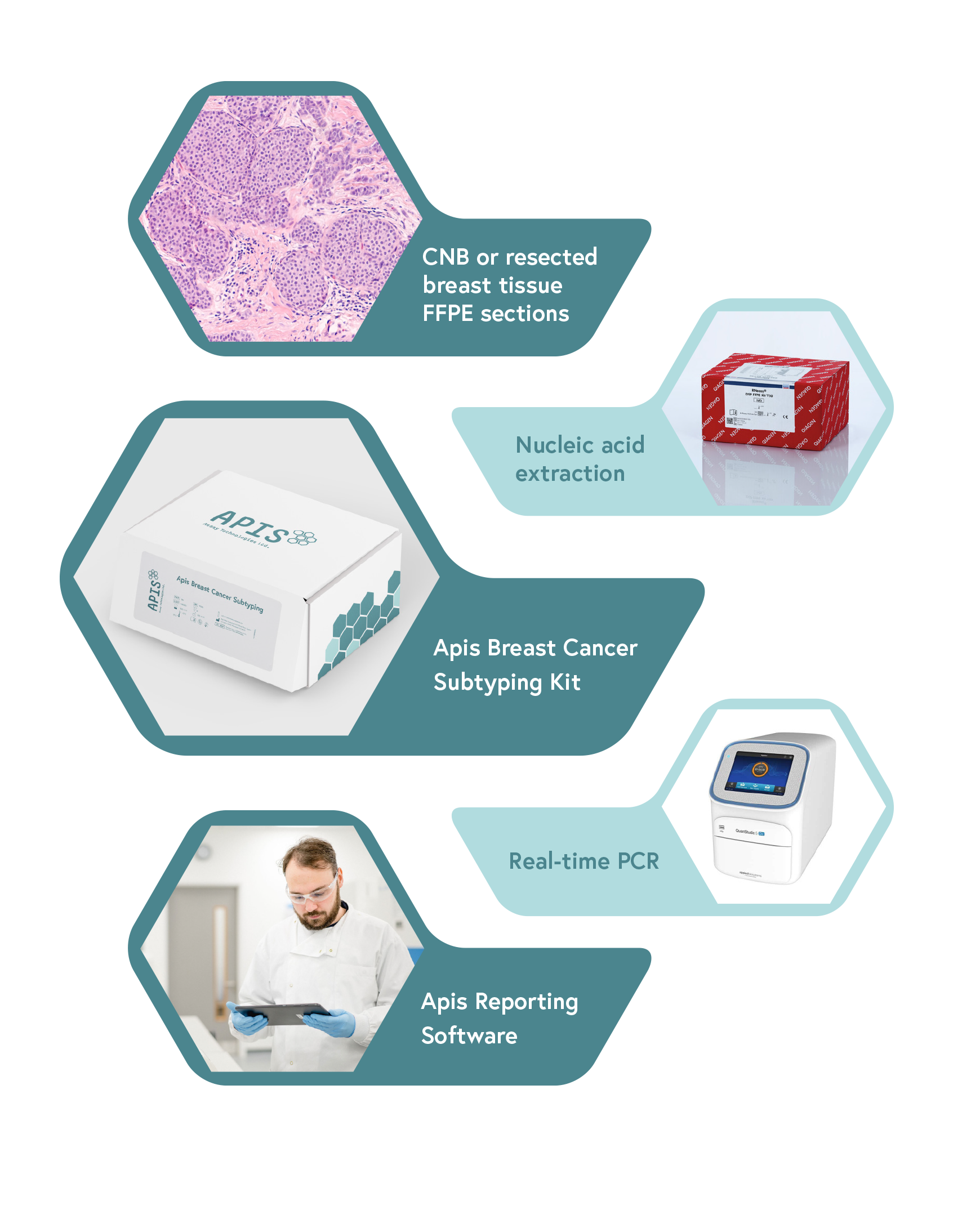 Breast Cancer Subtyping Kit — APIS Assay Technologies Ltd