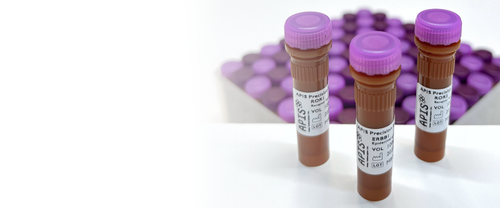 APIS Precision Expression Assays — APIS Assay Technologies Ltd