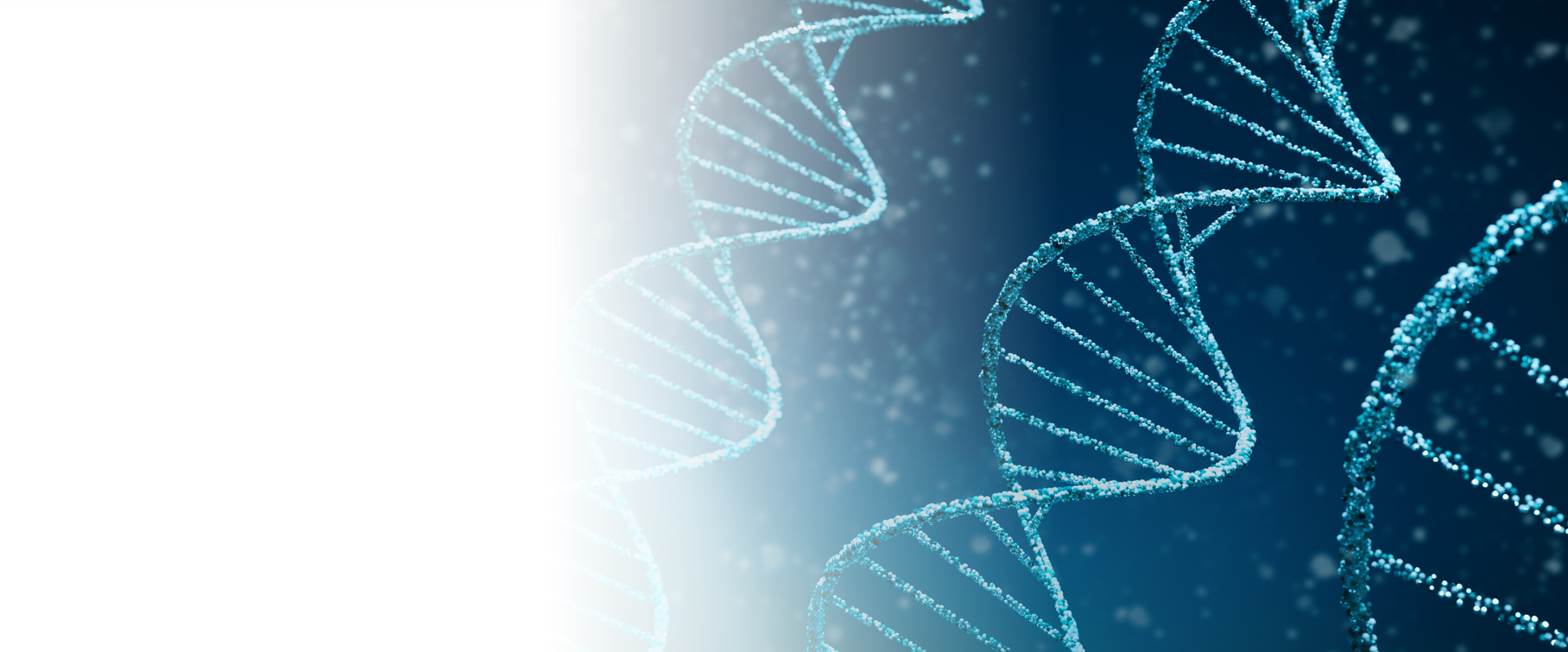 APIS Assay Technologies Ltd