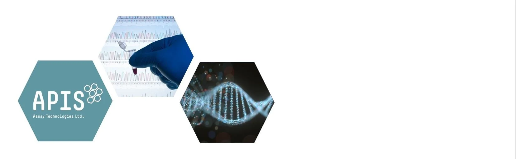 APIS Assay Technologies Ltd