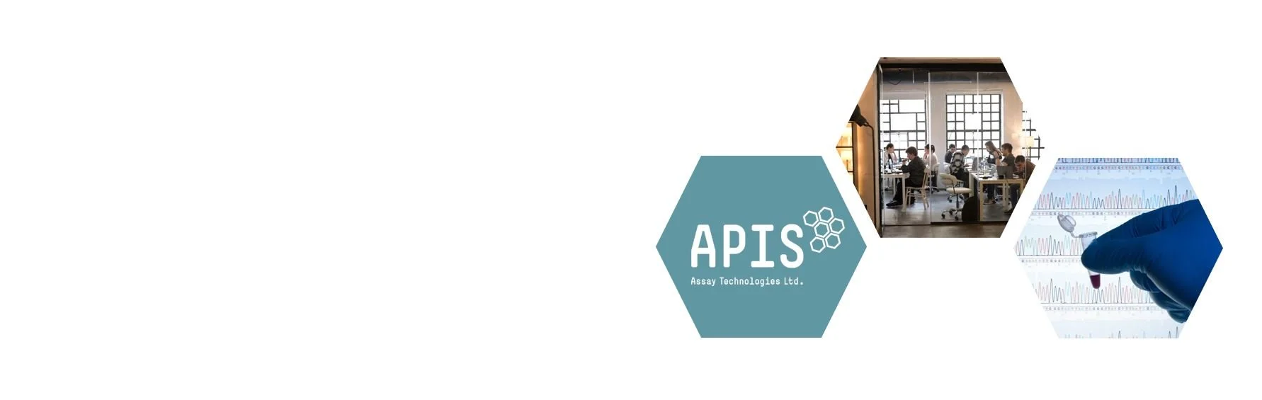 APIS Assay Technologies Ltd