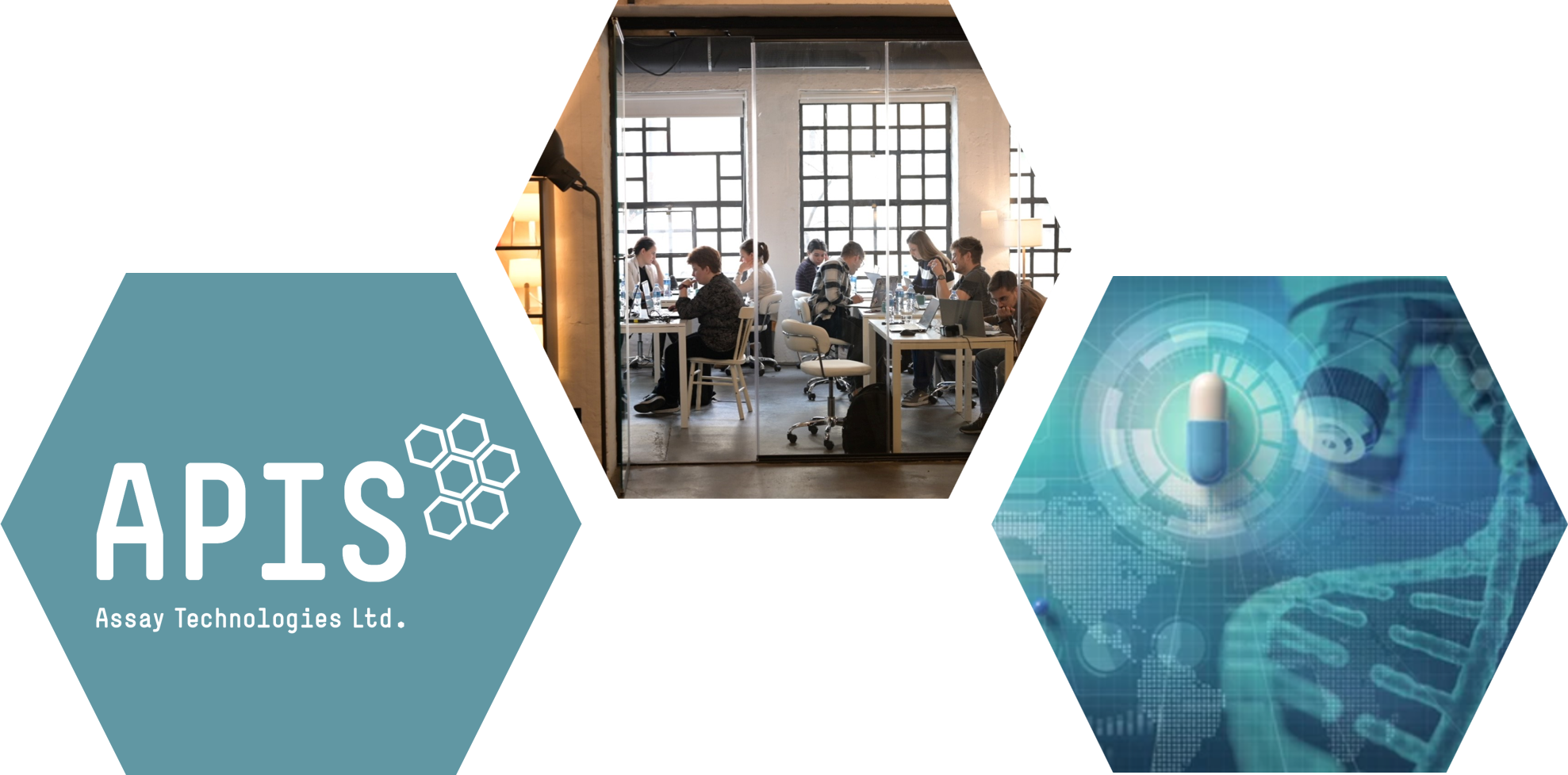 APIS Assay Technologies Ltd