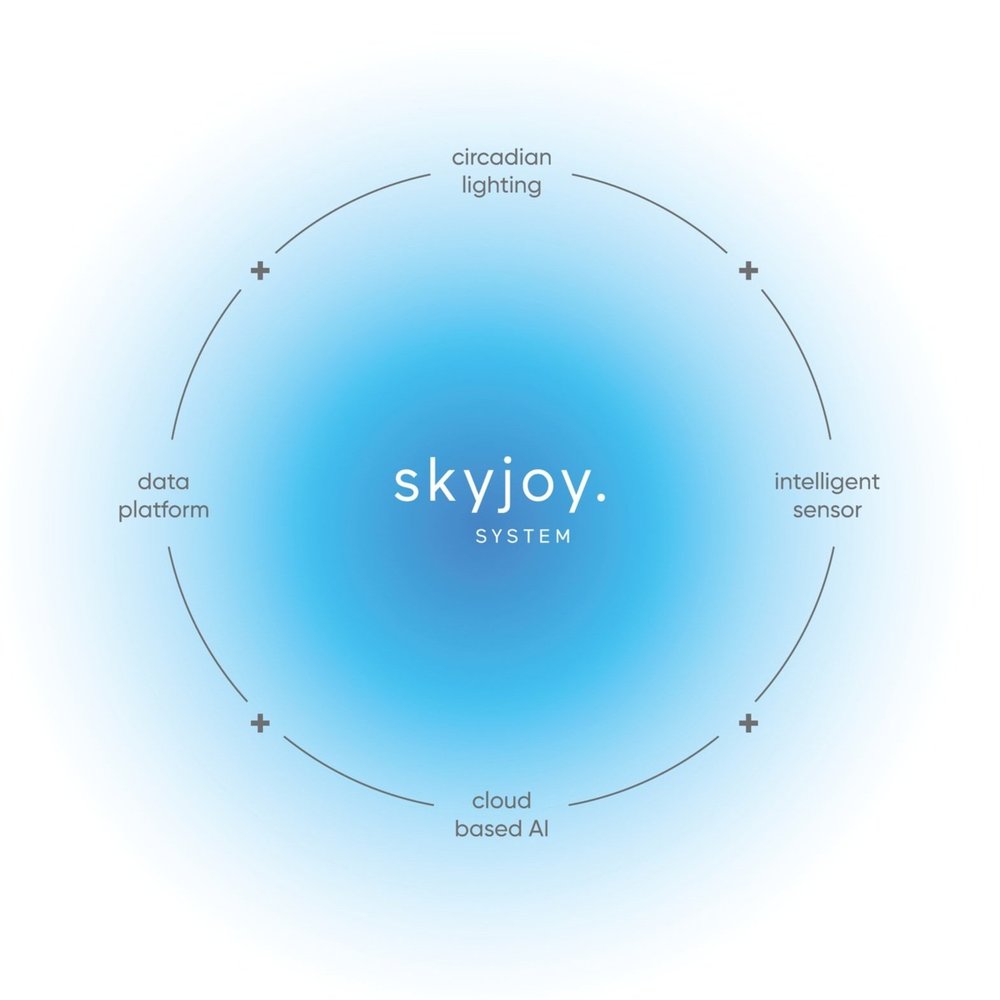 skyjoy