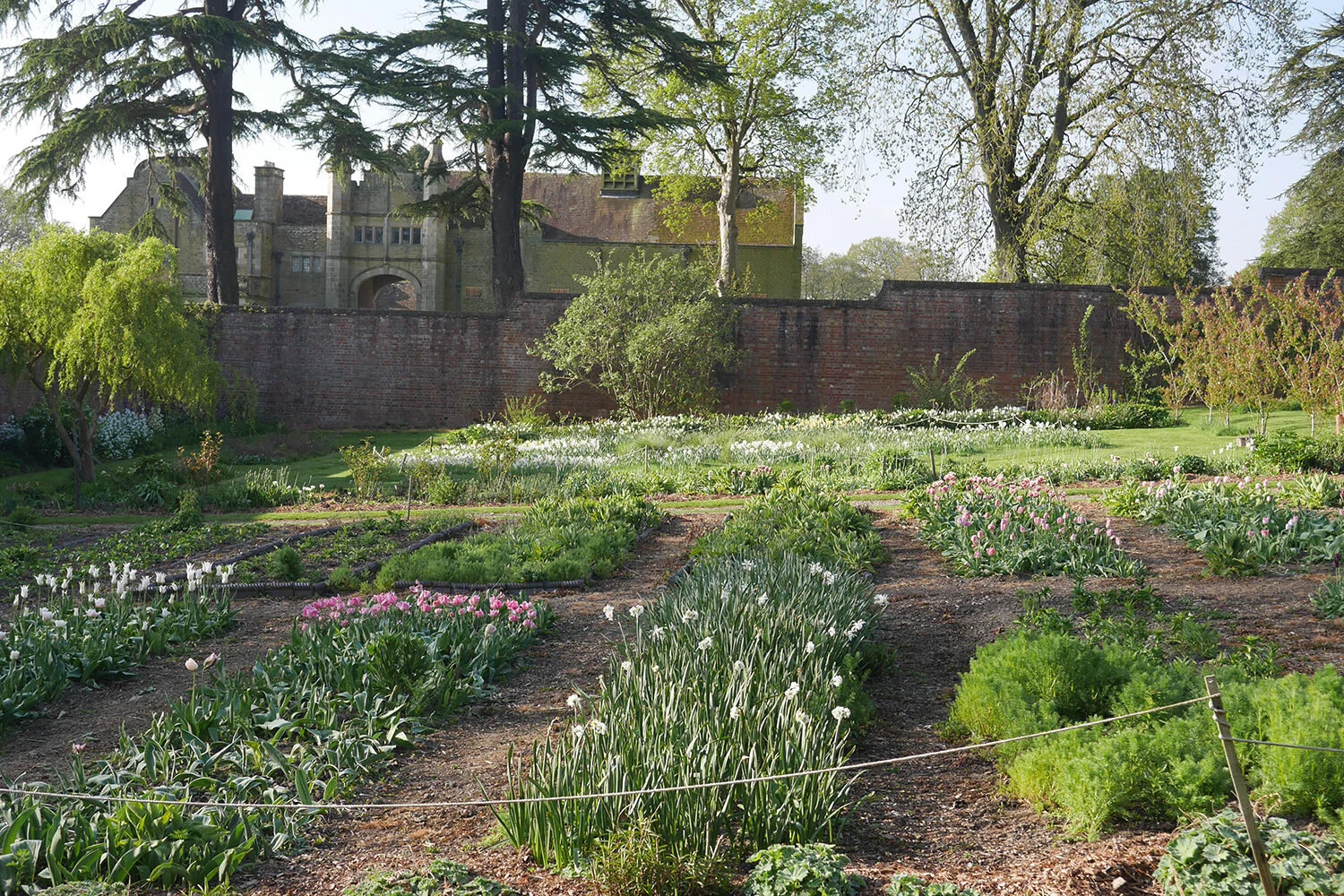 Stokesay Flowers - The Flower Garden