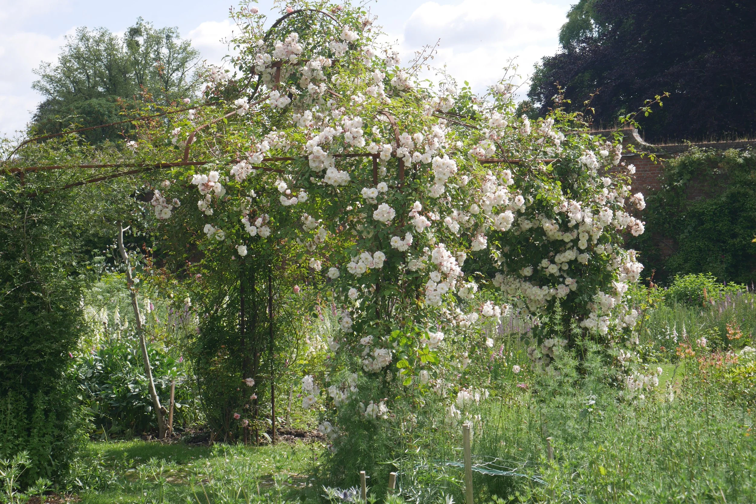 Stokesay Flowers - The Flower Garden