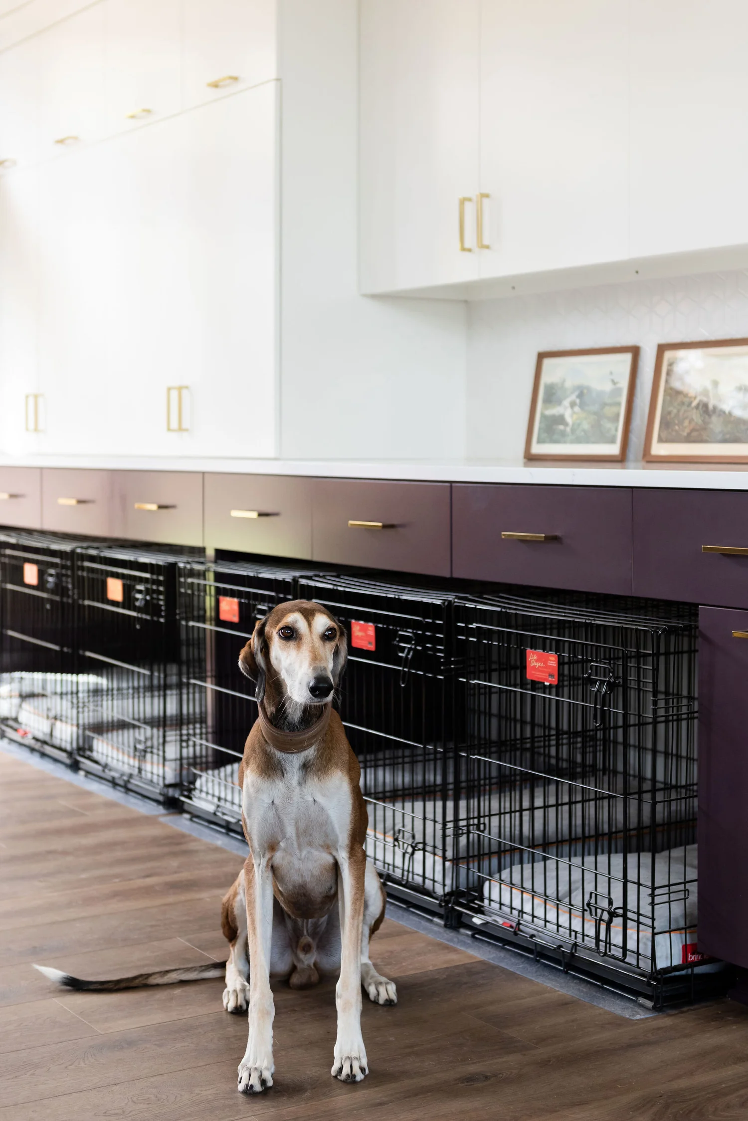 Colorful Mid-Century Modern — HUNTER DESIGN