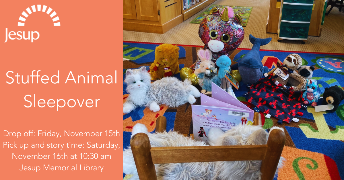 Stuffed Animal Sleepover Story Time — Jesup Memorial Library